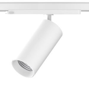 Philips MasterLine 111 45W G53 12V 45D - Lichtunie